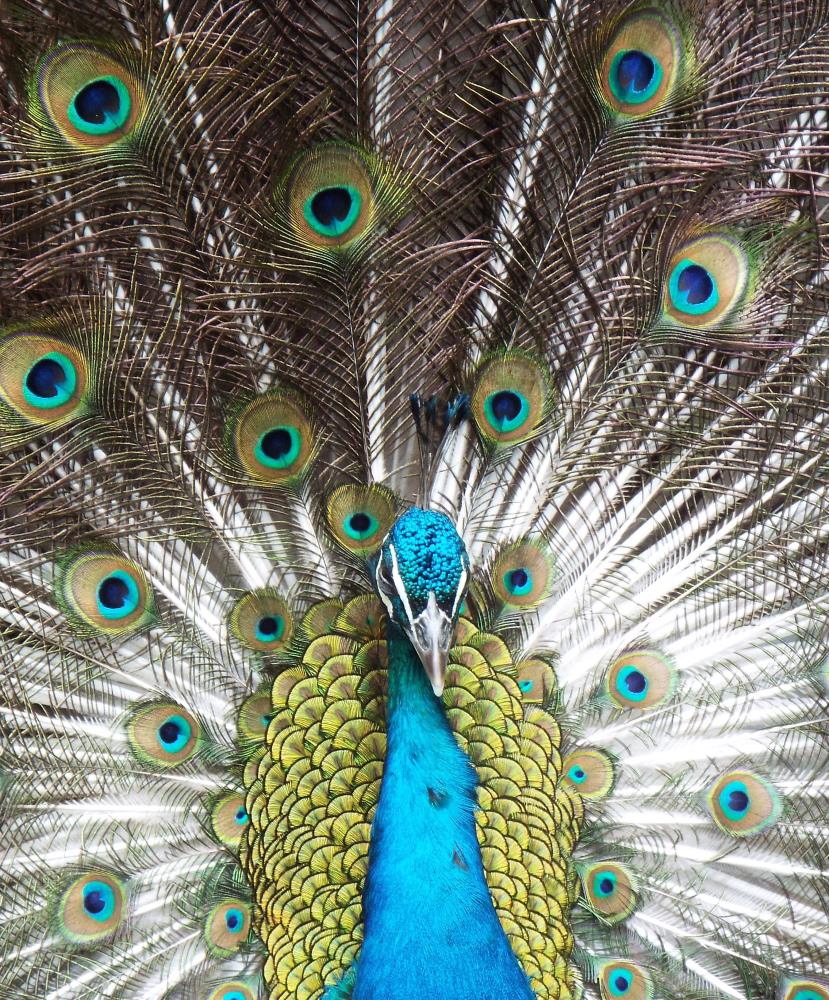 Photography Page myaccount | D Jasper Art | Geo Galleries