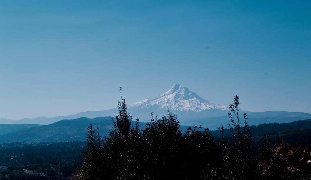 Landscapes Page myaccount | Chloe Marie Studios | Geo Galleries