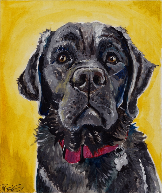 Creatures Page orderstatus.aspx | Chrissi Guarnieri Art | Geo Galleries